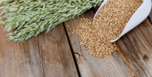 Les bienfaits de l’avoine sur notre santé – Blog Nutrition Santé