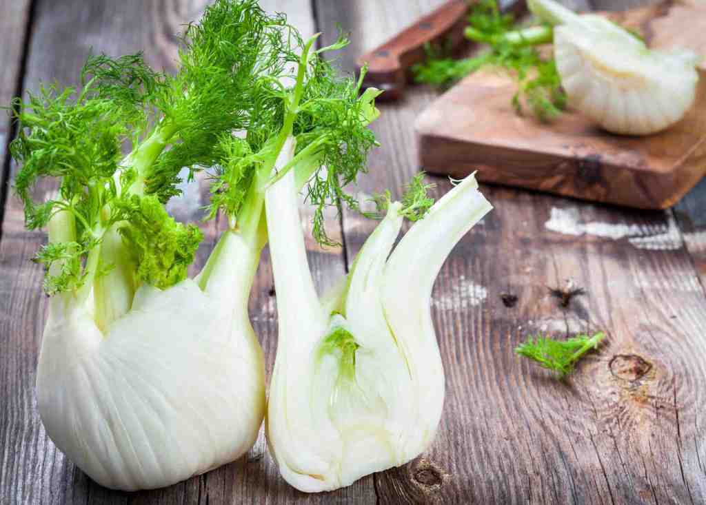 Les bienfaits du fenouil pour la santé – Blog Nutrition Santé